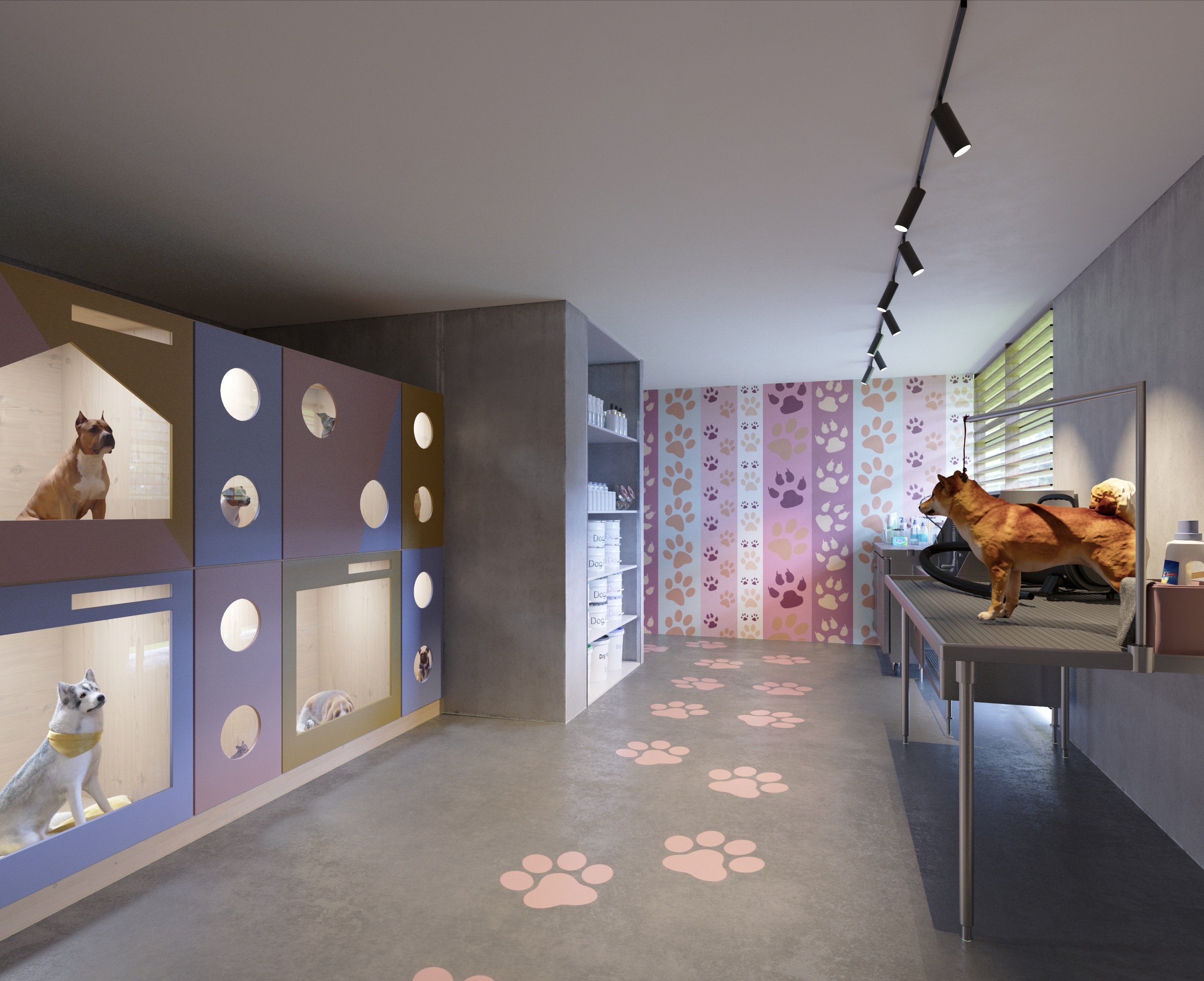 Dovle Cincuentenario: 4 Lifestyles That Find Their Perfect Place